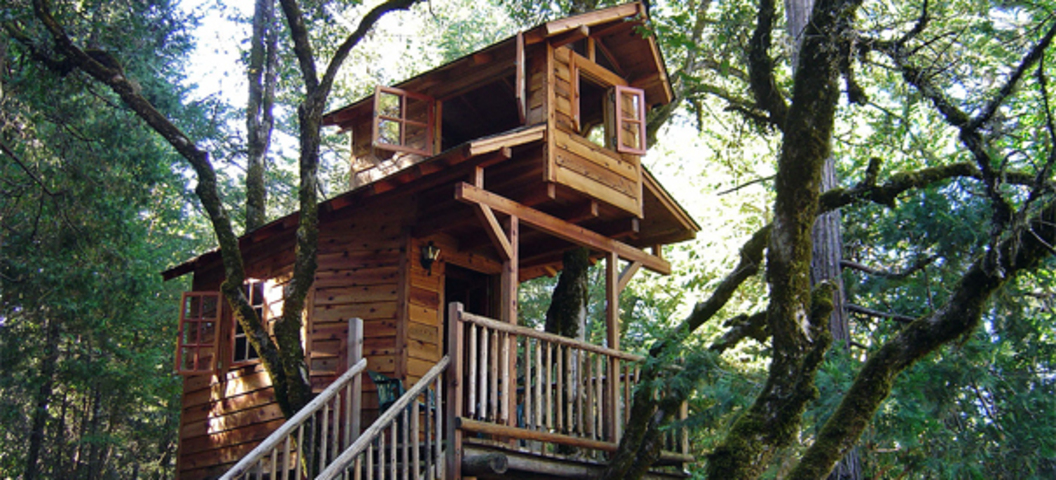 The Ultimate Tree House Building Guide - Oneflare Blog